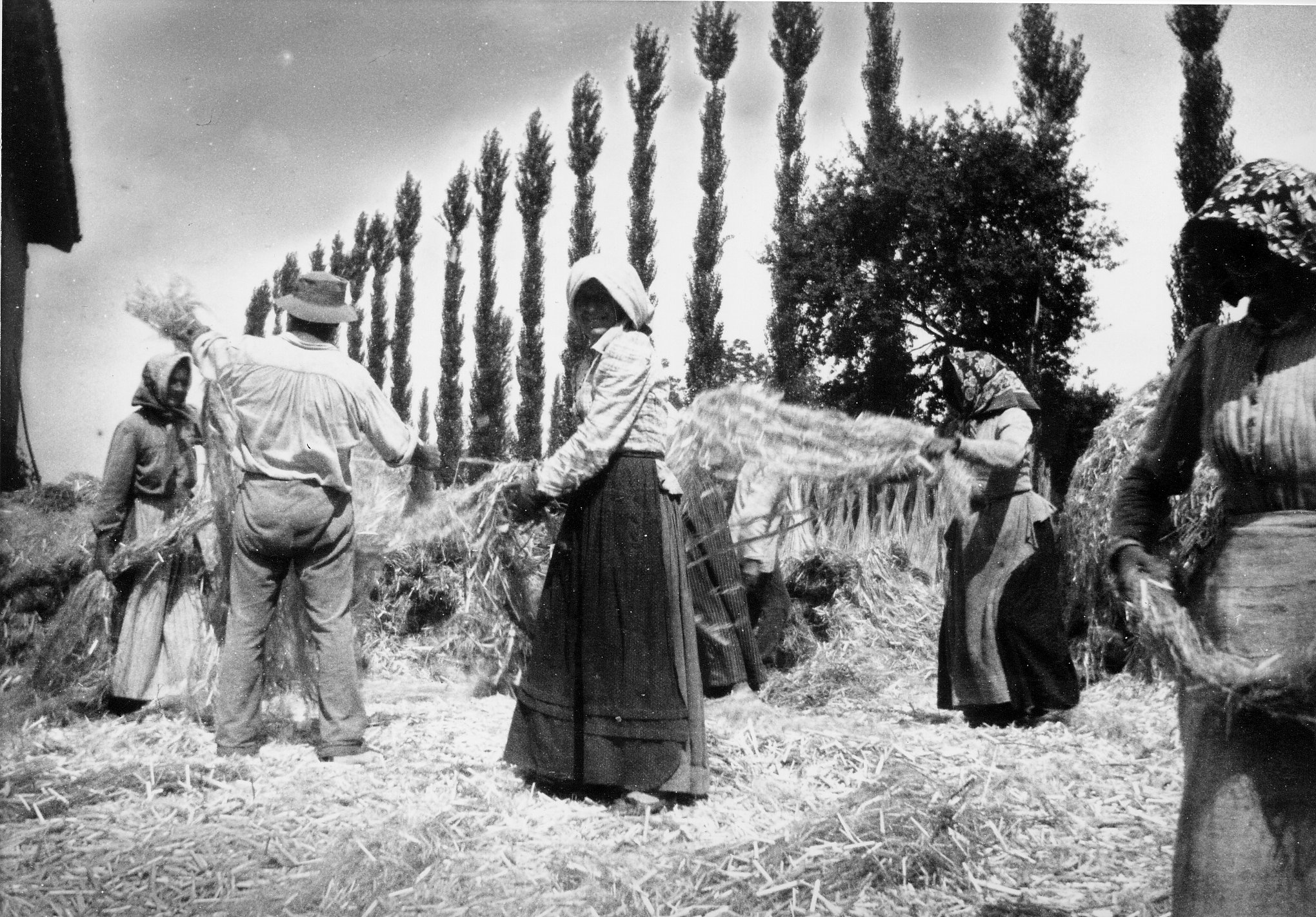 Portale - Mostra temporanea "La canapa di Bologna e il lavoro dei ...